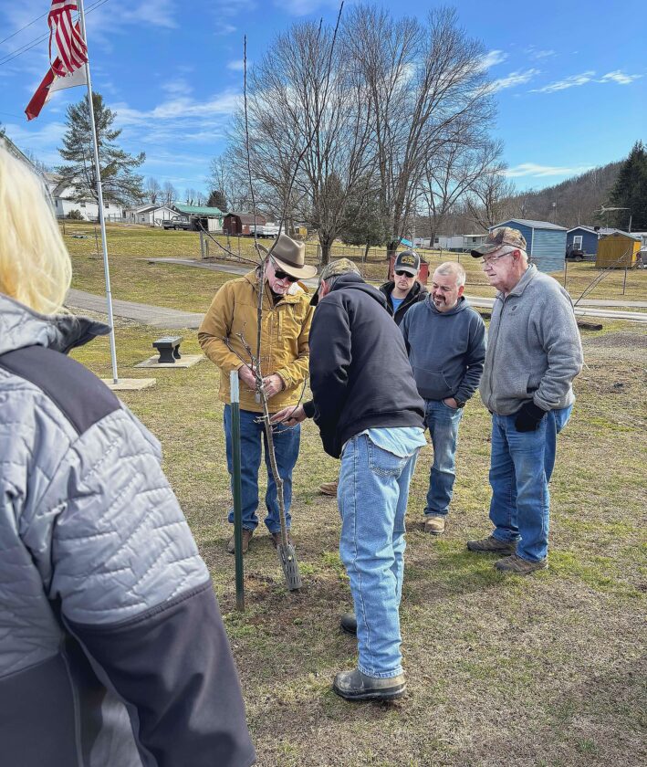 Tyler Wetzel Hold Tree Pruning Sessions | News, Sports, Jobs - Tyler ...
